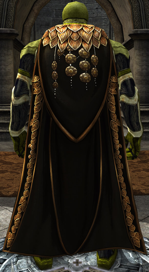 Item:Cloak of Summer's End (level 20) - DDO wiki