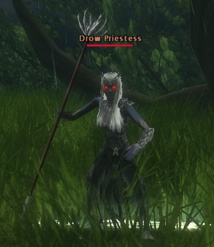 Drow Priestess (Forgotten Realms) - DDO wiki