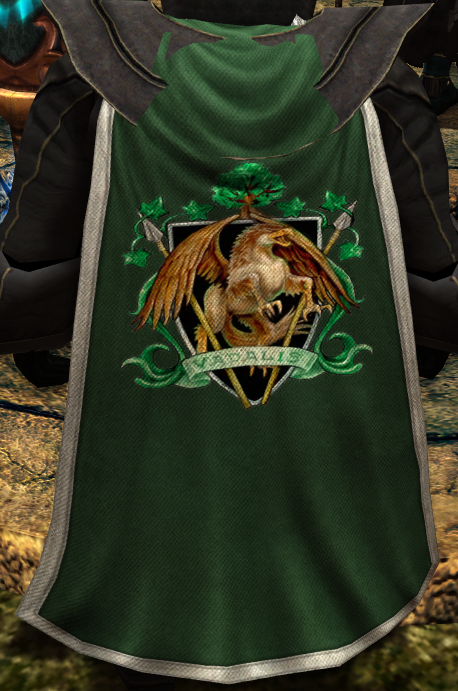 Item:House Vadalis Cloak - DDO wiki