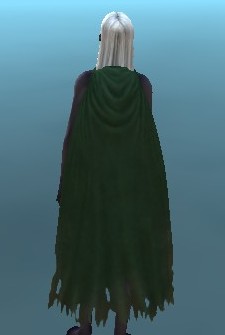 Item:Ranger's Cloak - DDO wiki