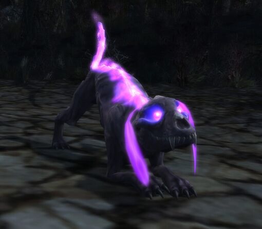 Black Rose Wolf Pup - DDO wiki