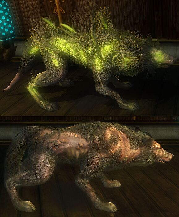 Blightcaster - DDO wiki