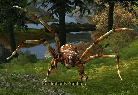 The Borderlands - DDO wiki