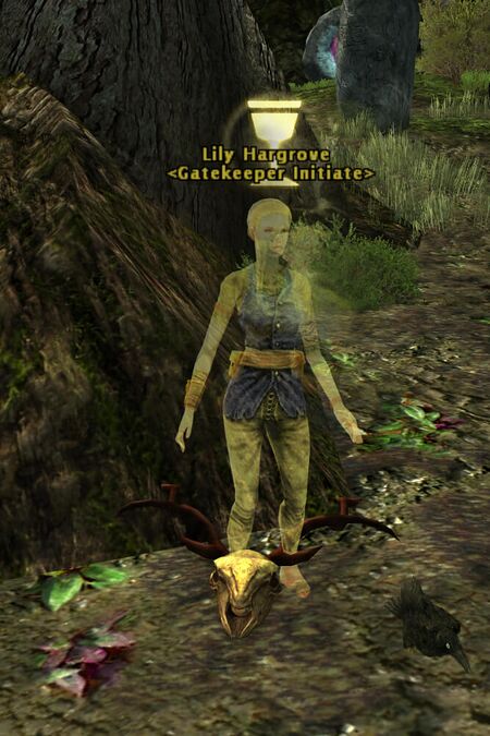 Lily Hargrove - DDO wiki