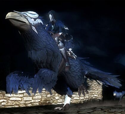 Item:Midnight Wing Dire Raven - DDO wiki