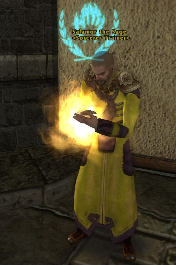 Salamor the Sage - DDO wiki
